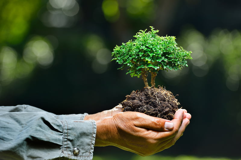 ABC Techno Lab EIA Consultants In Bangalore Environmental Clearance